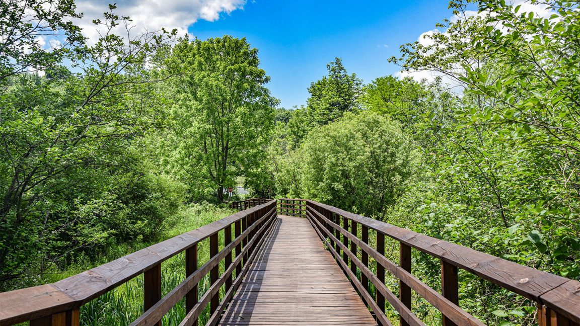 Visit - Waverly Community House